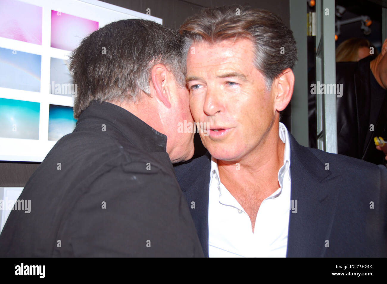 Alex Baldwin and Pierce Brosnan The 17th annual Hamptons International ...