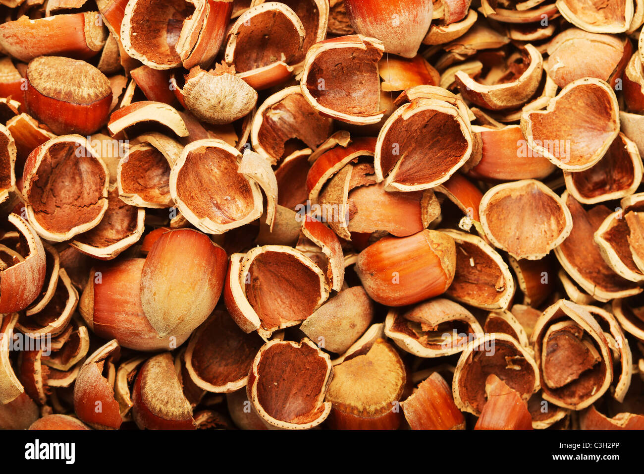 Background from a shell of wood nuts Stock Photo - Alamy