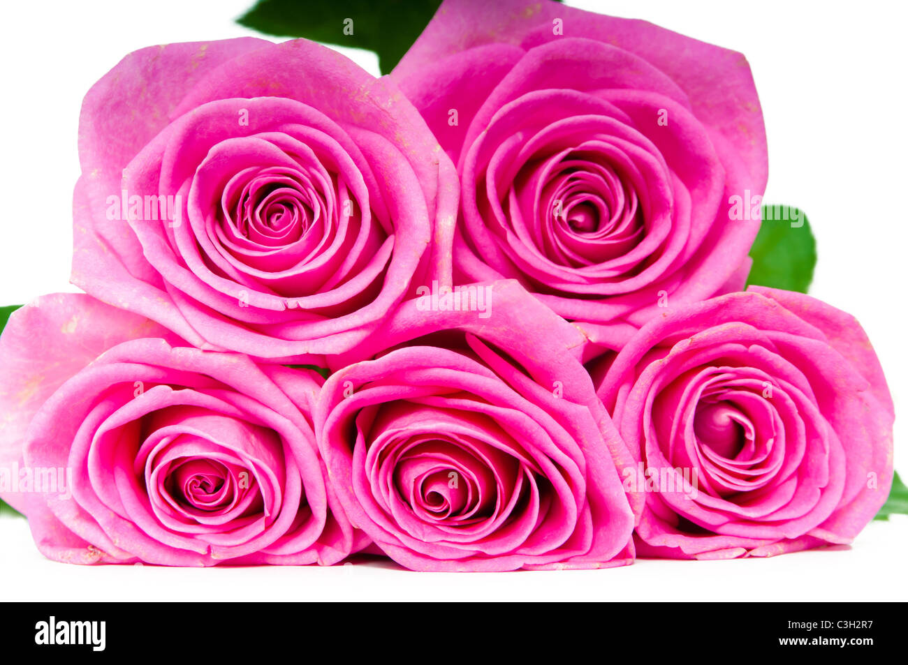 Five pink roses hi-res stock photography and images - Alamy