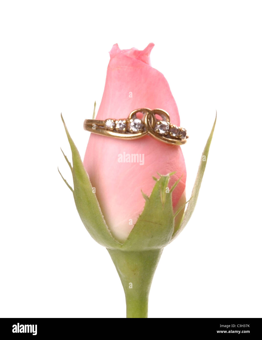 rose and ring Stock Photo - Alamy