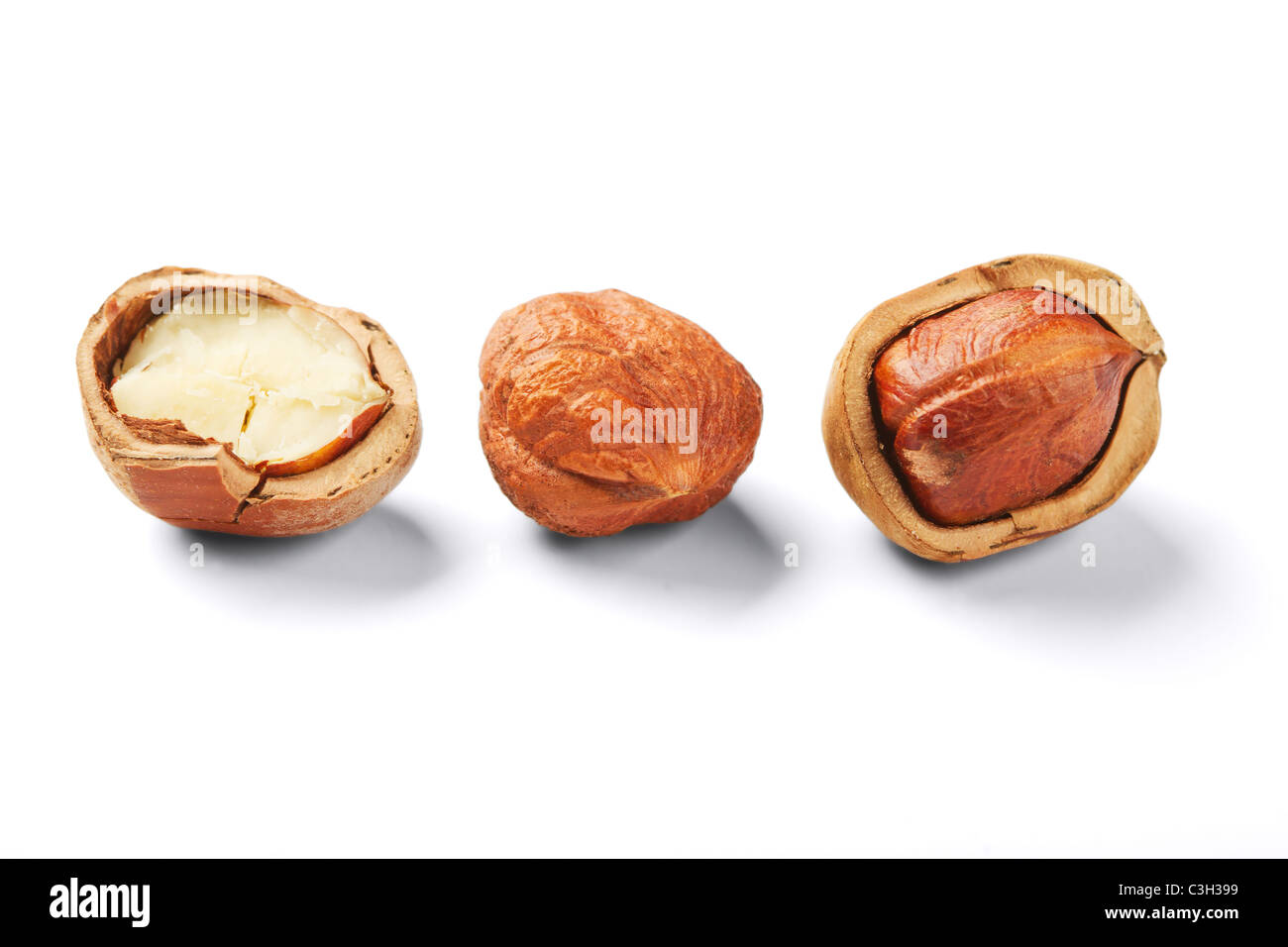 Wood nuts isolated on a white background Stock Photo - Alamy