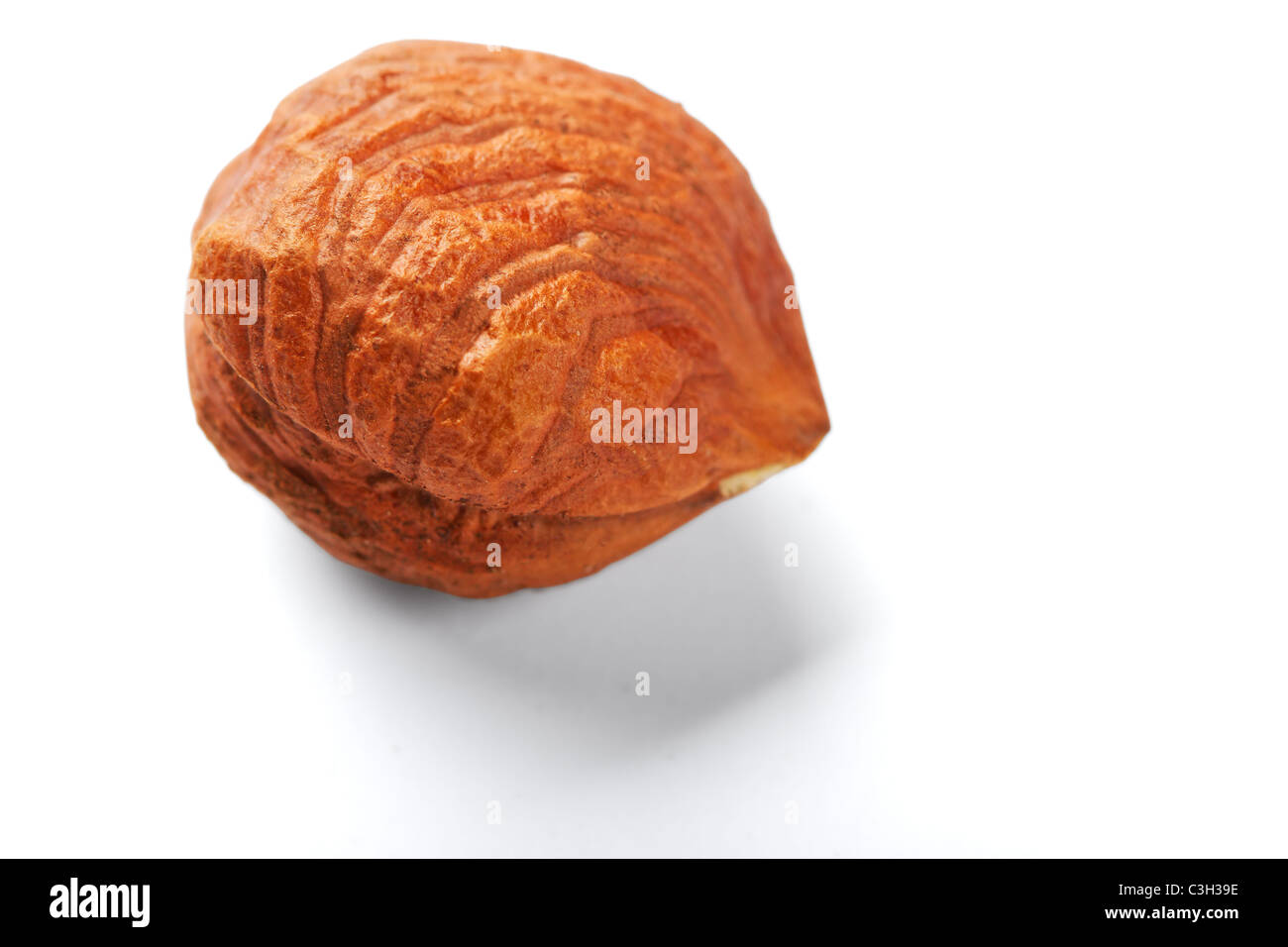 Wood nut isolated on a white background Stock Photo - Alamy