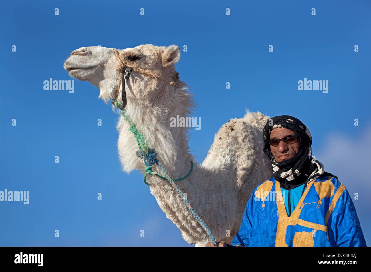 Camel with owner hi-res stock photography and images - Alamy