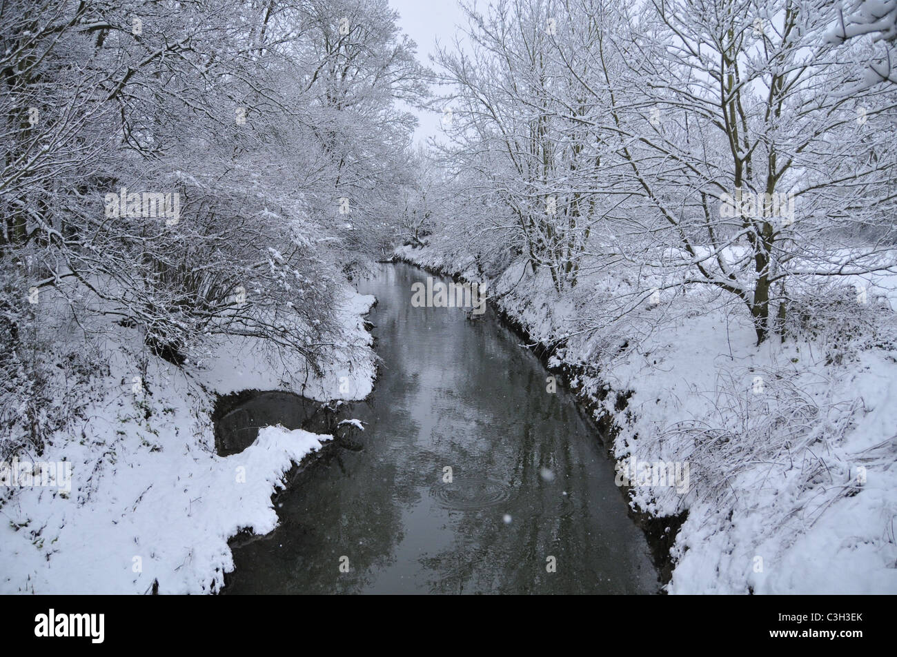 River Mole in winter with snow Stock Photo - Alamy