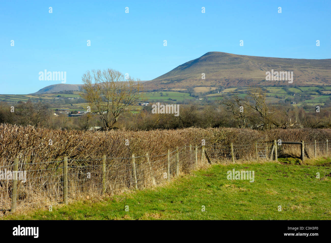 Troed hi-res stock photography and images - Alamy