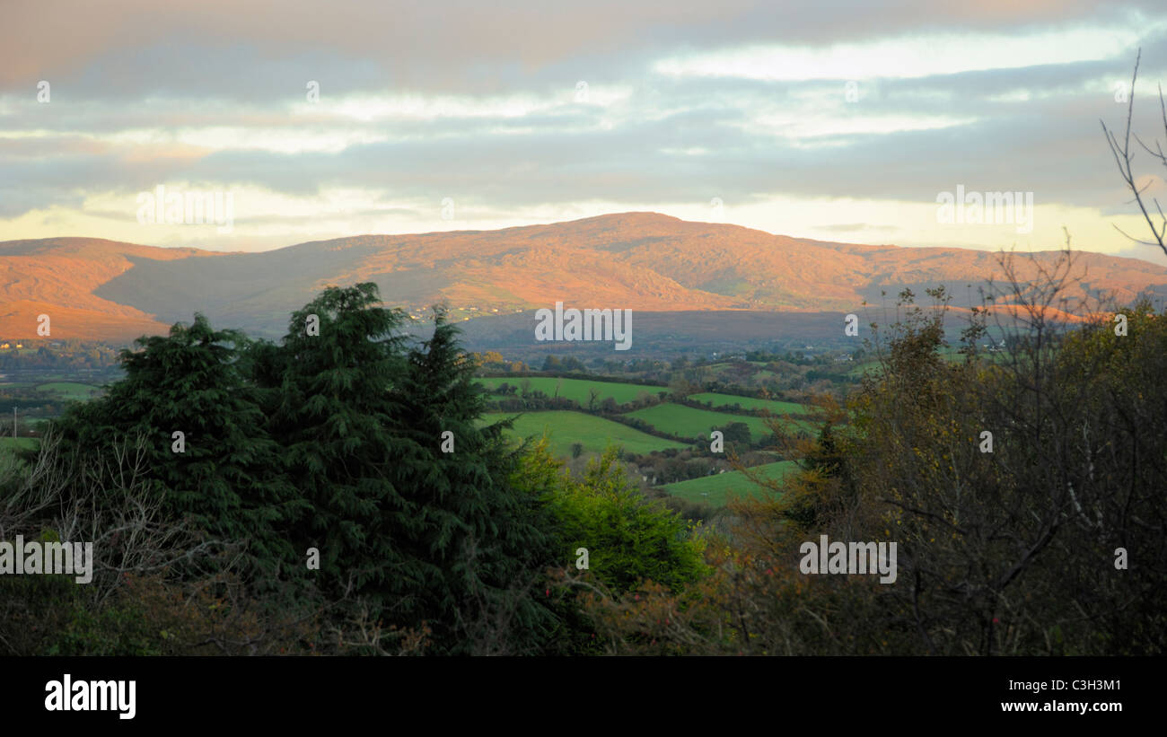 Knockboy hi-res stock photography and images - Alamy