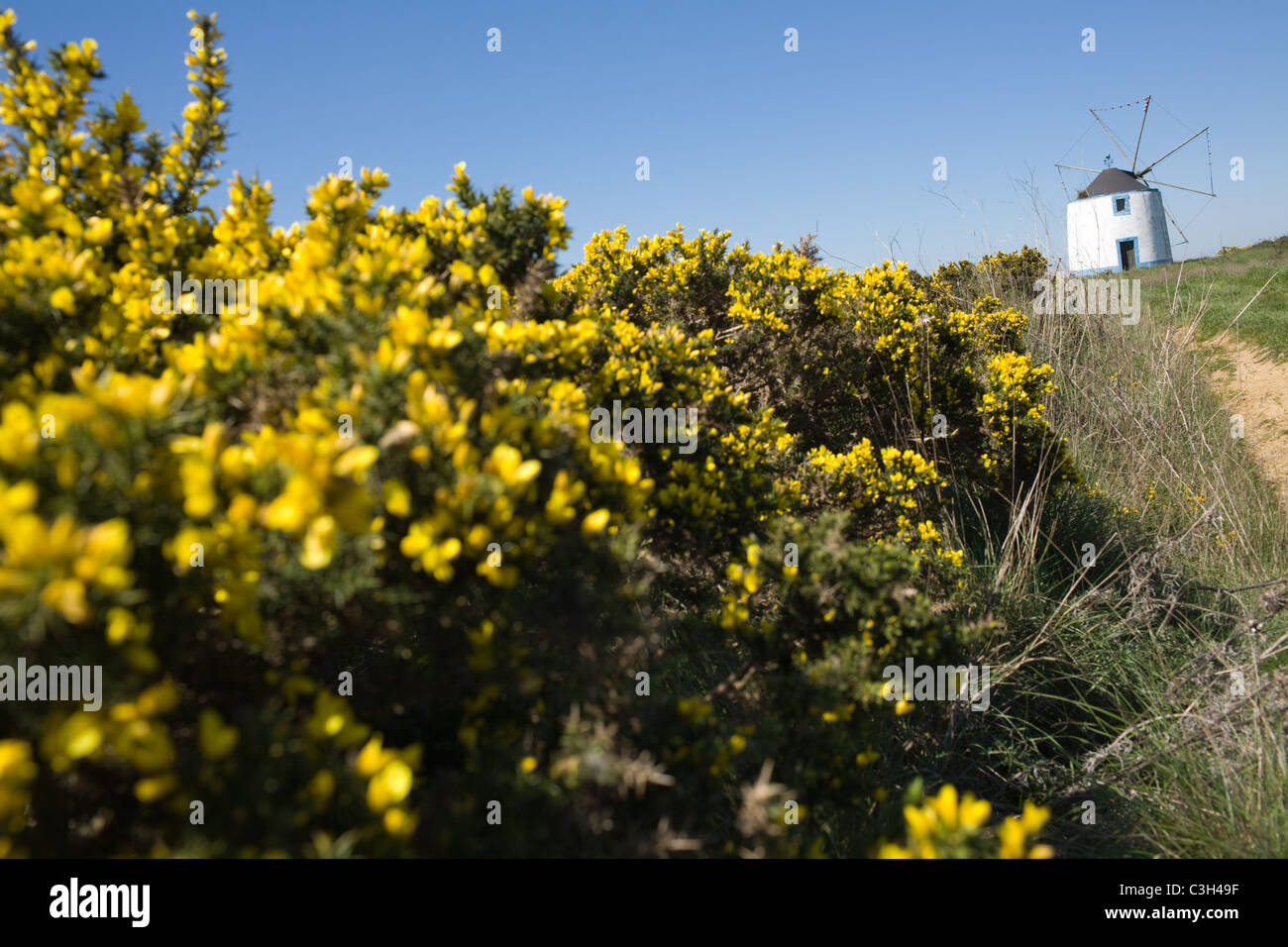 Ancient windmill, Sobral, Portugal Stock Photo - Alamy
