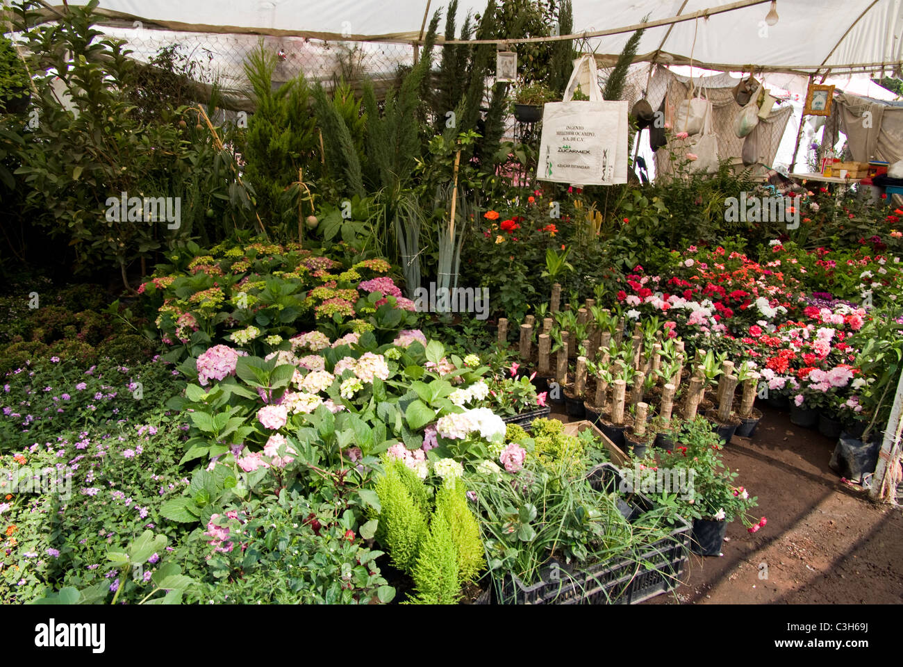 Mexico.Mexico city. Plant nurseries in Xochimilco Stock Photo - Alamy