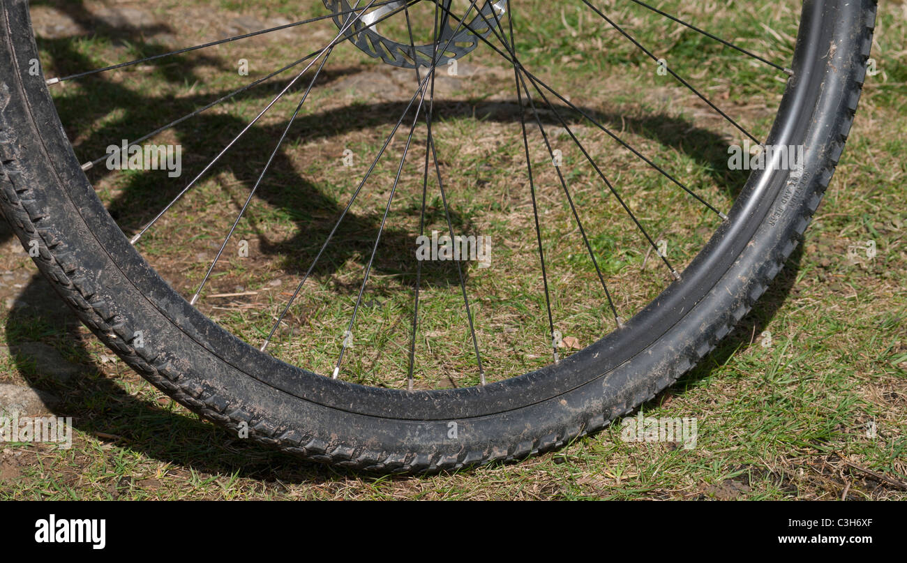 Bike Wheel and Shadow Stock Photo - Alamy