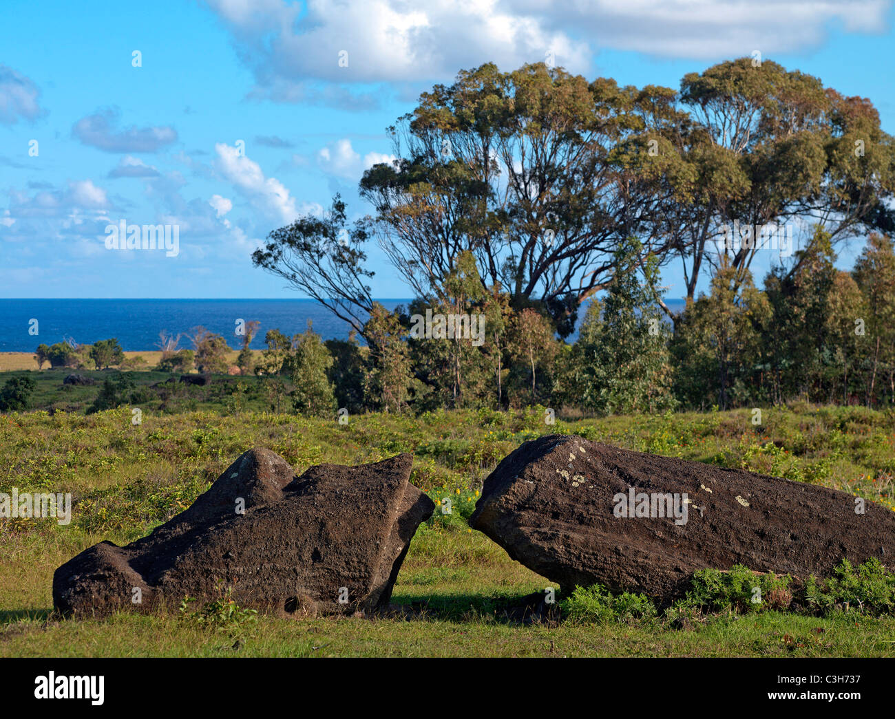 Broken Moai lying on its back at Rano Raraku. Easter Island Stock Photo ...