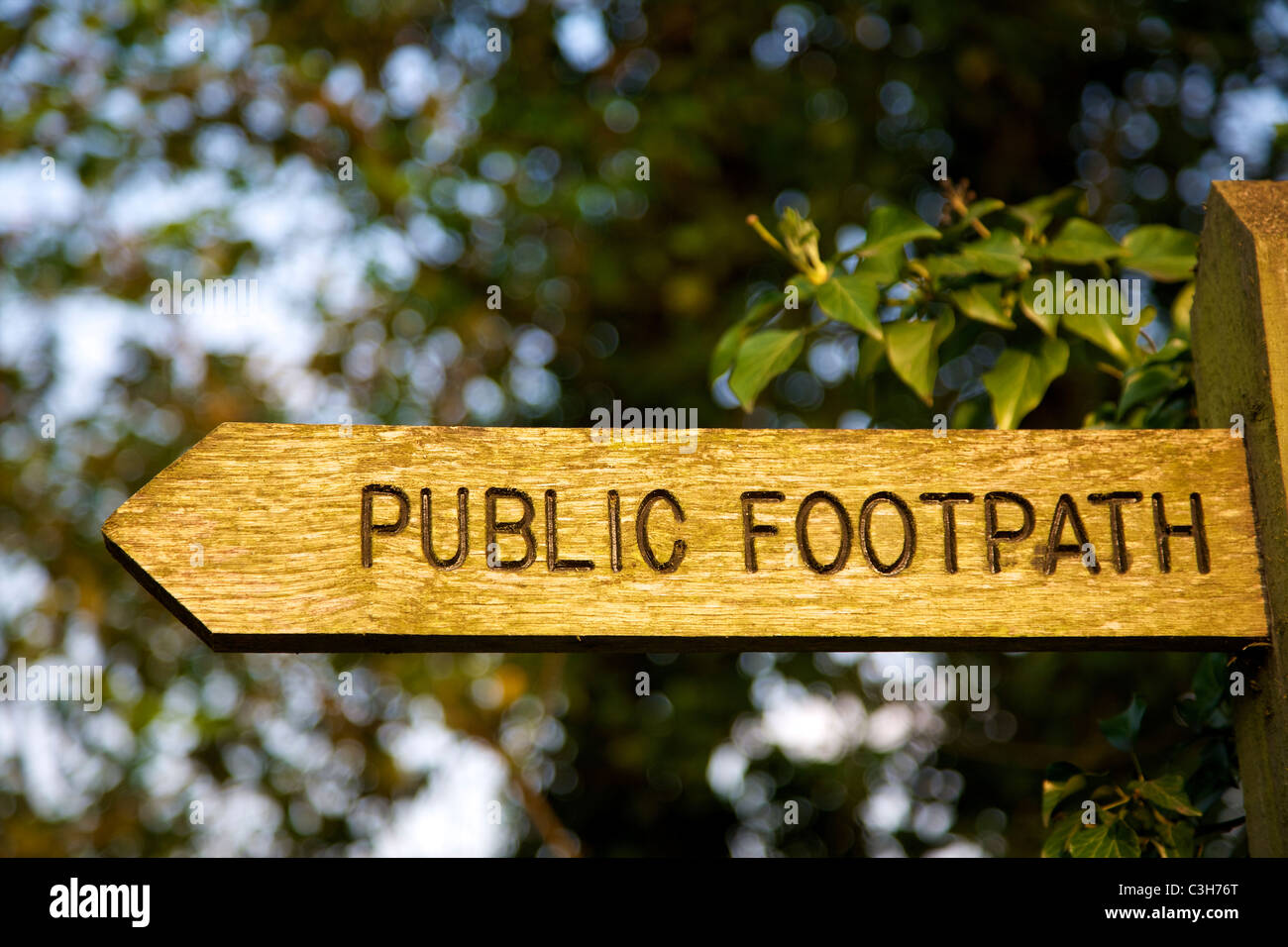 Giving directions pointing map hi-res stock photography and images - Alamy