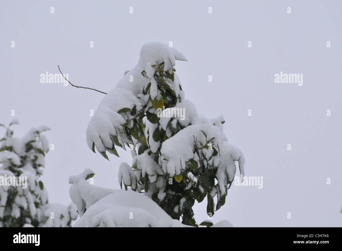 Bumps pictures hi-res stock photography and images - Alamy