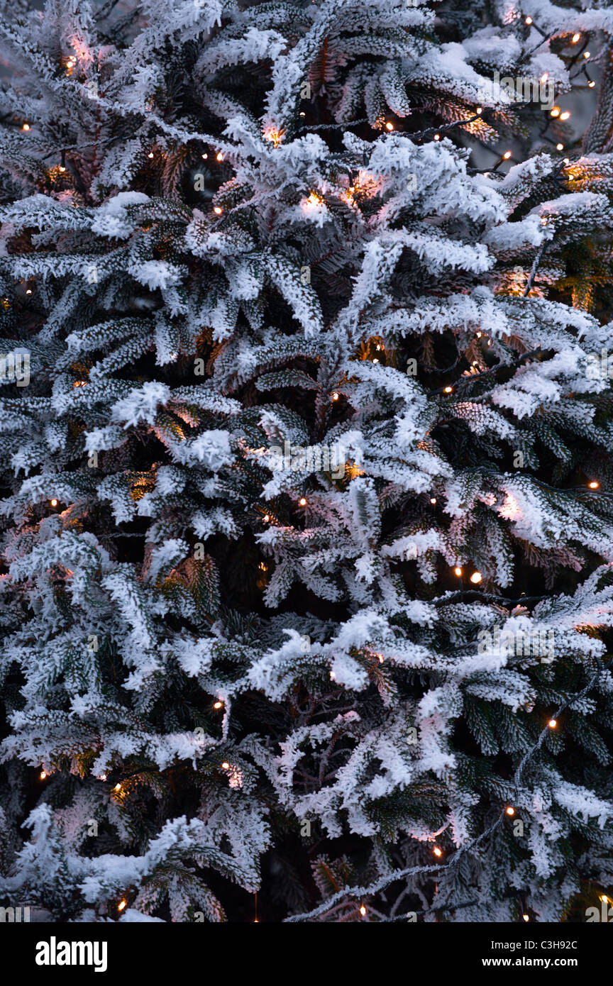 Uk christmas xmas wales hi-res stock photography and images - Alamy