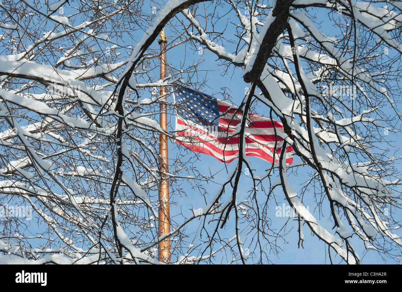 American flag behind winter trees Stock Photo - Alamy