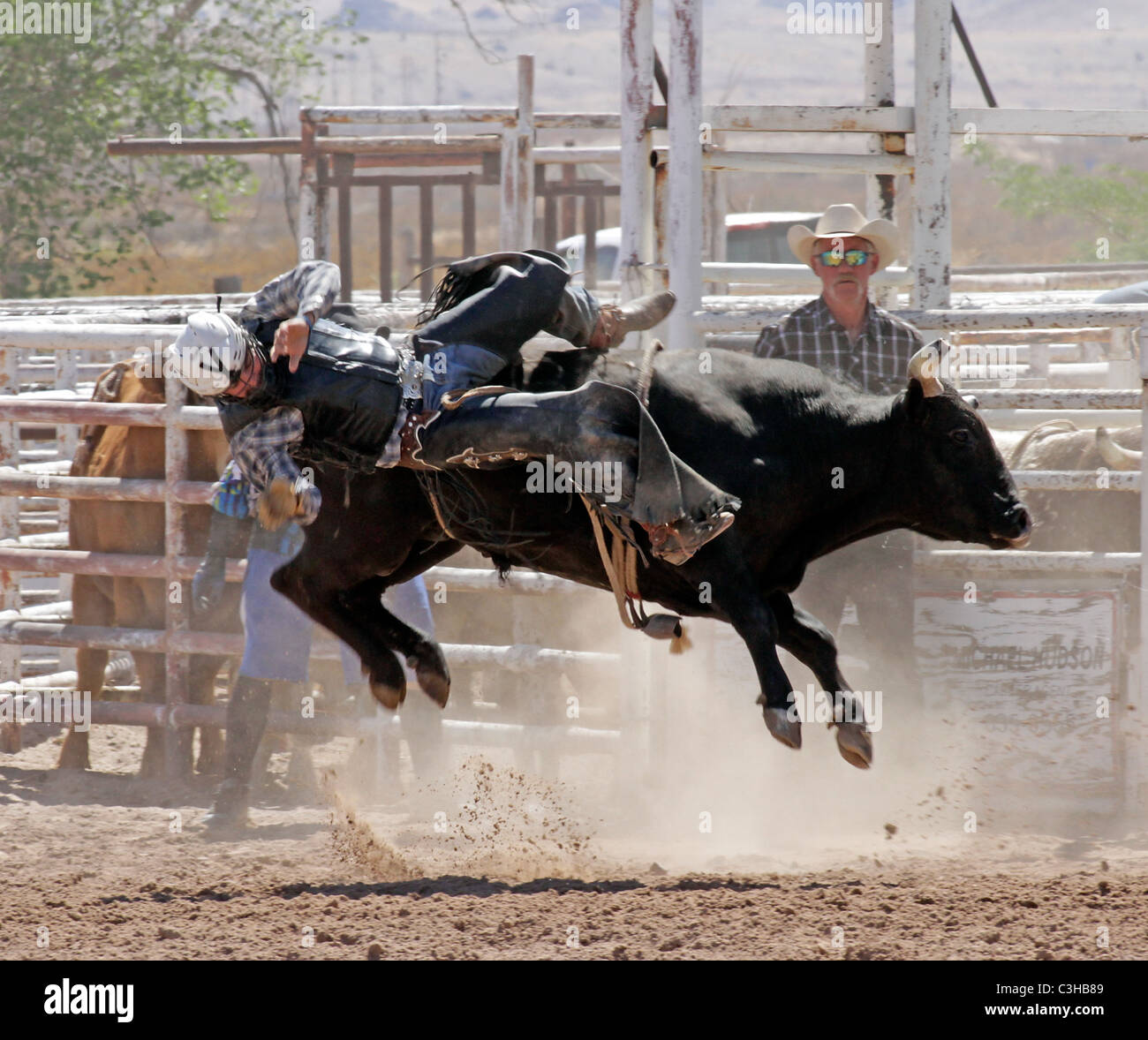 Bull riding competition at he Socorro, New Mexico, annual rodeo Stock ...