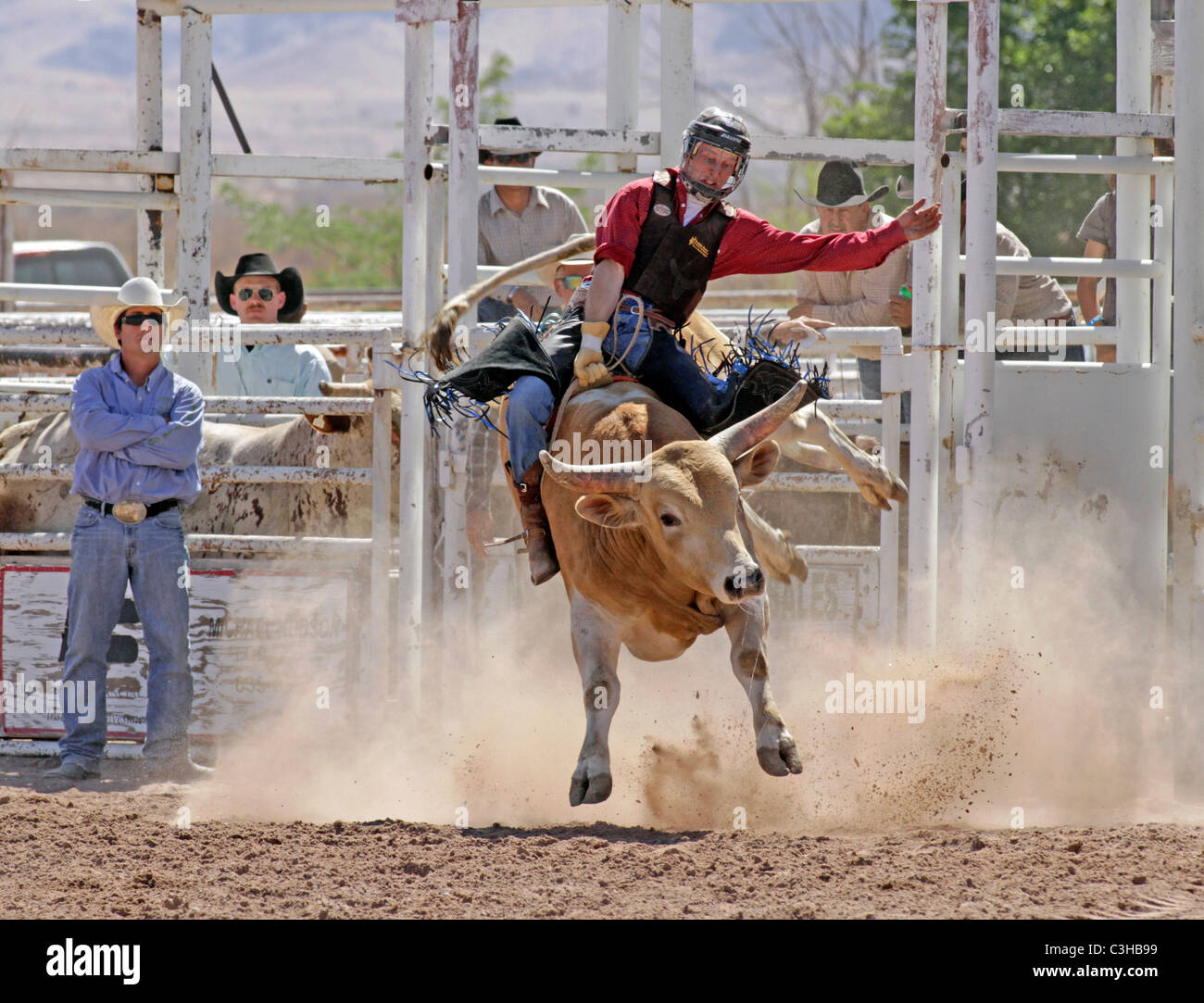 Bull riding competition at he Socorro, New Mexico, annual rodeo Stock ...
