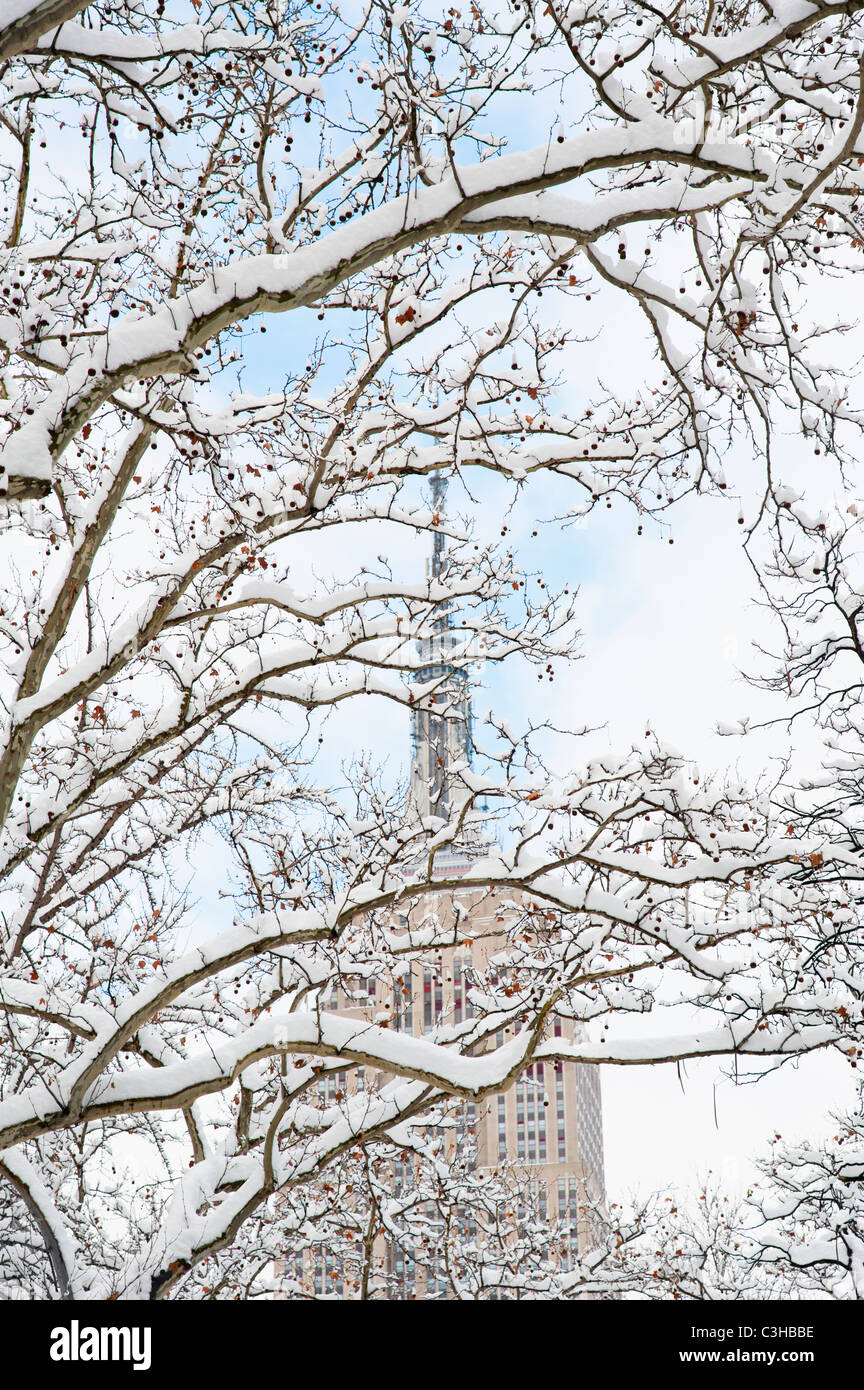 Empire State Building behind branches covered with snow Stock Photo - Alamy