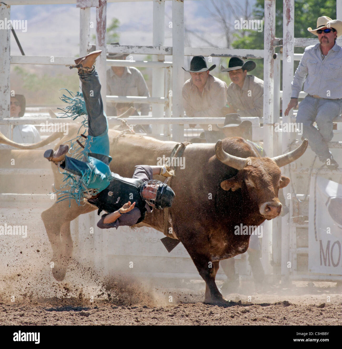 Bull riding competition hi-res stock photography and images - Alamy