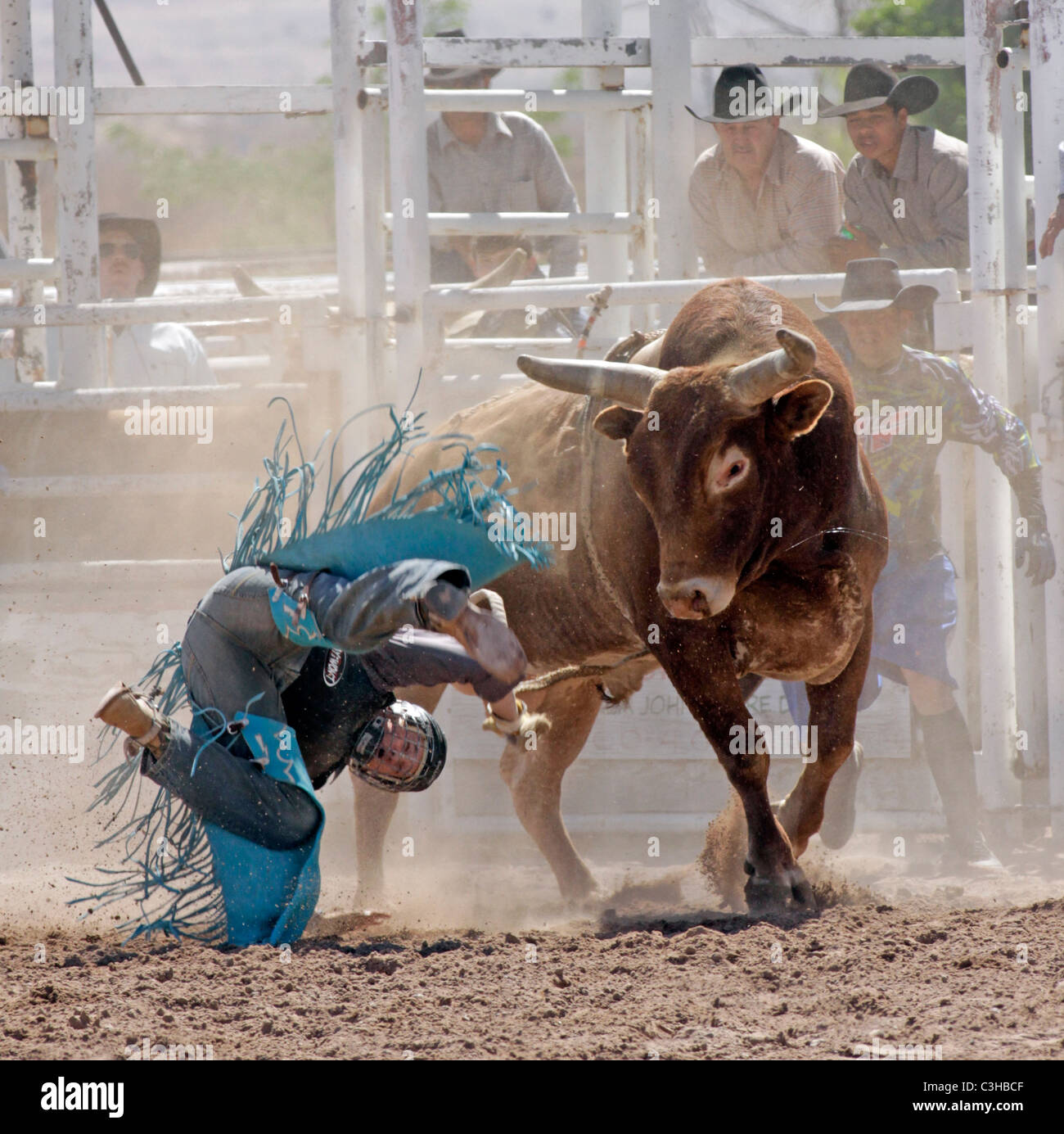 Bull riding competition at he Socorro, New Mexico, annual rodeo Stock ...