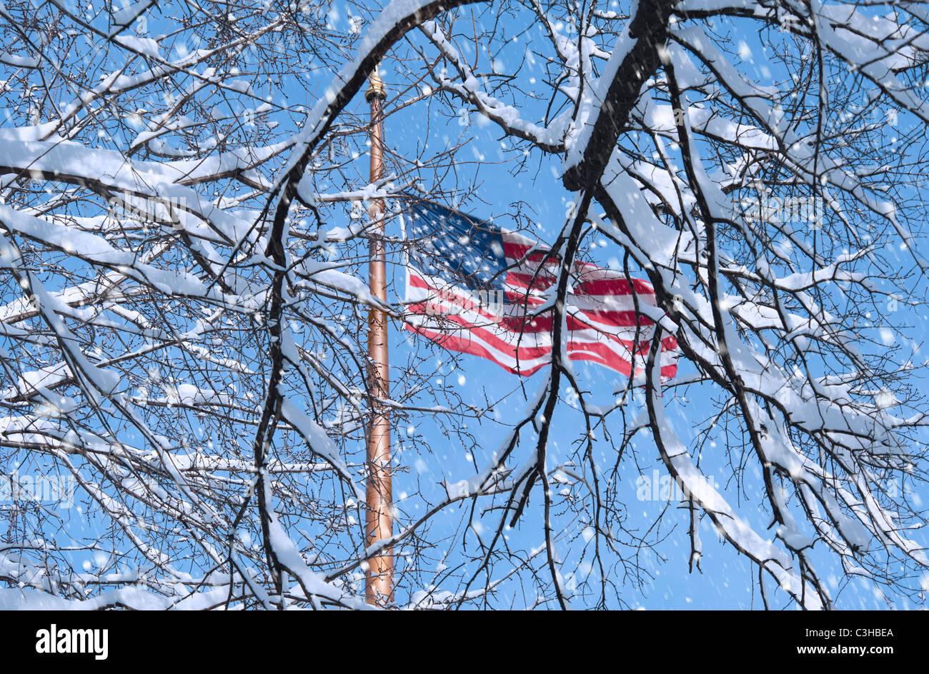 American flag behind branches covered with snow Stock Photo - Alamy