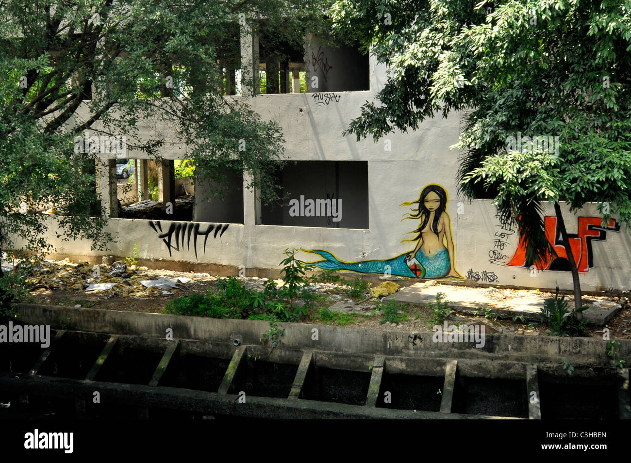 thai mermaid , graffiti on the wall, expressionism and social messaging ...