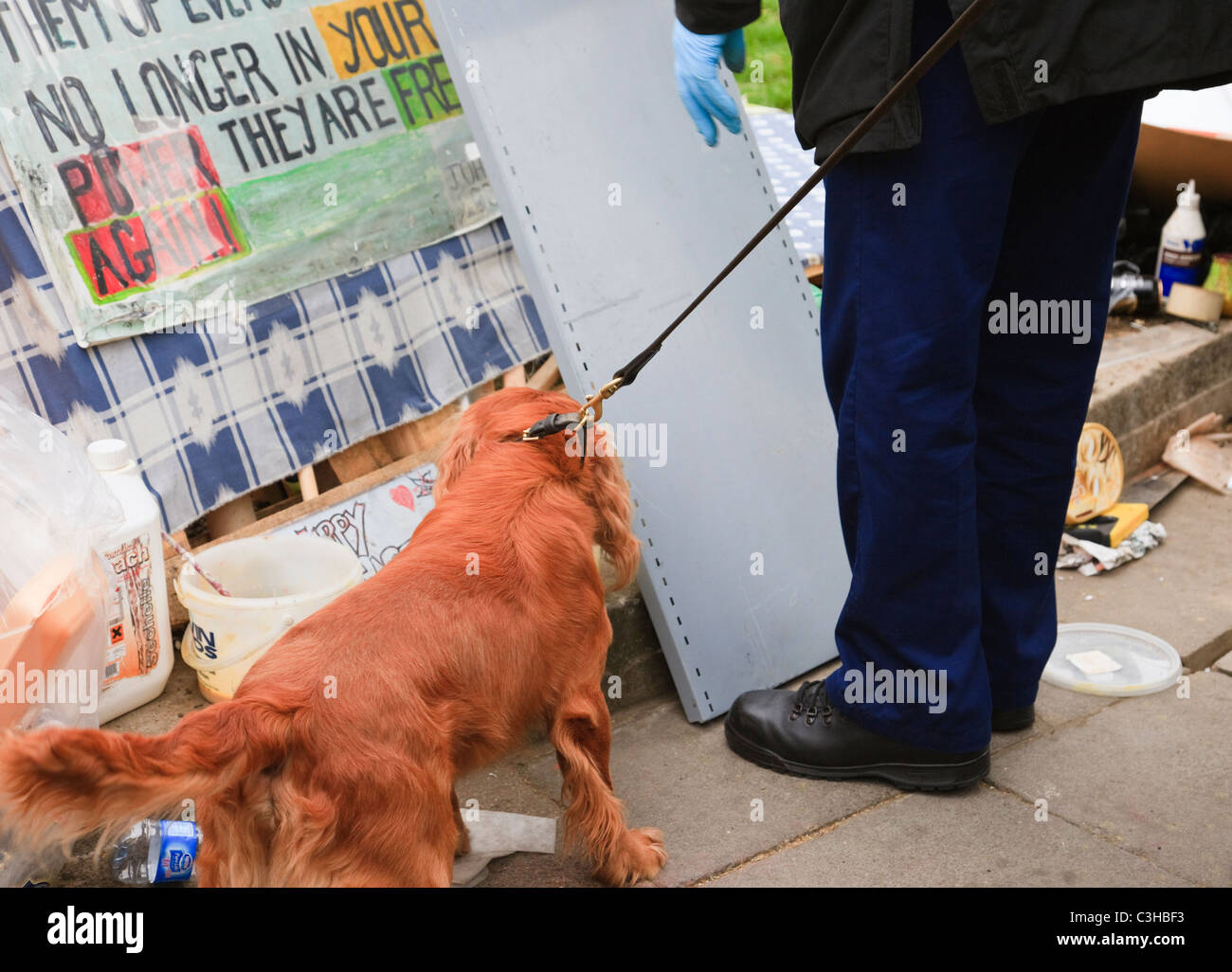 London, England, UK. Metropolitan police dog-handler with security ...