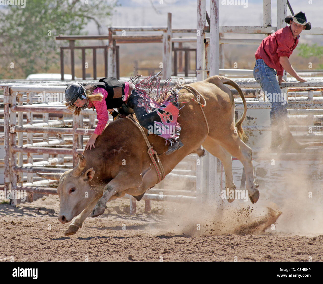 Woman riding bull hi-res stock photography and images - Alamy