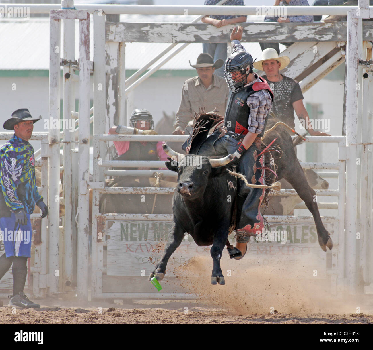Bull riding competition at he Socorro, New Mexico, annual rodeo Stock ...