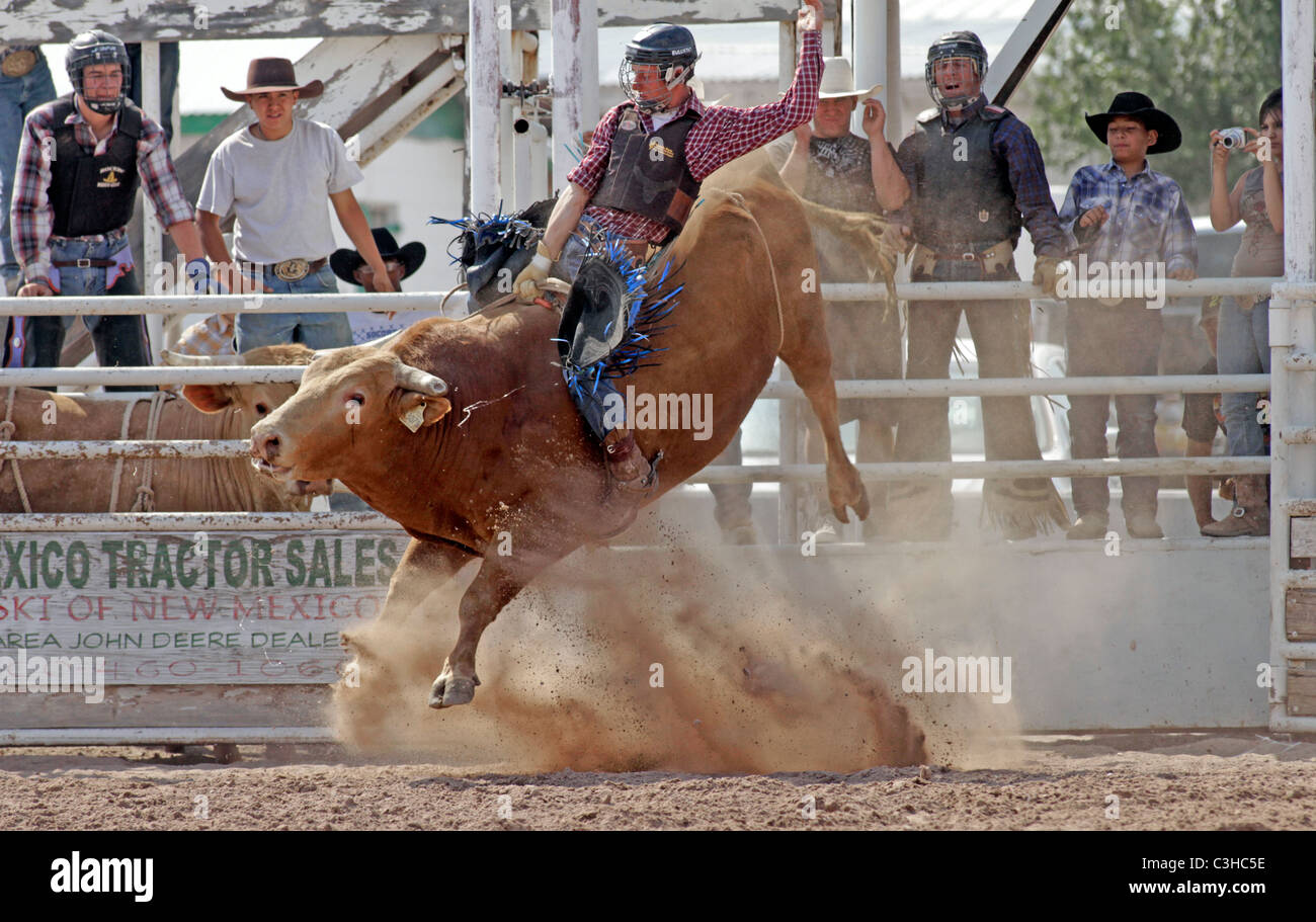Bull riding competition at he Socorro, New Mexico, annual rodeo Stock ...