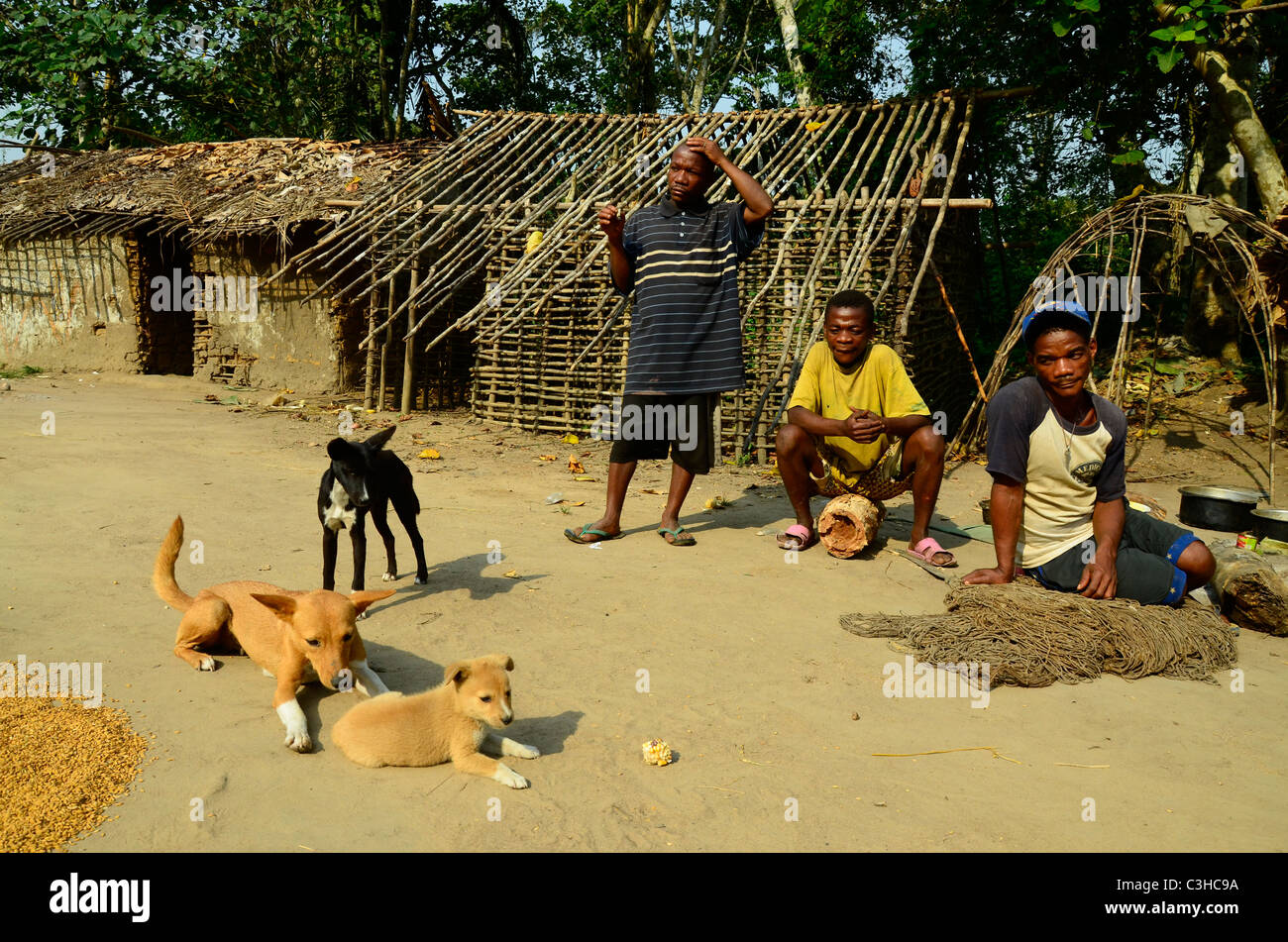 Nomadic Mbuti Pygmies live in the Ituri jungle of the Congo Basin in ...