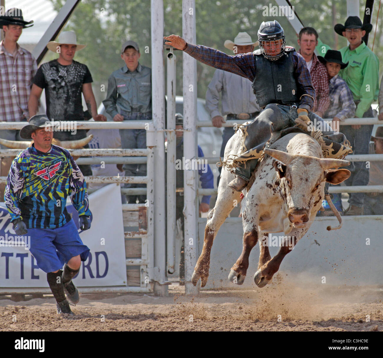 Bull riding competition at he Socorro, New Mexico, annual rodeo Stock ...