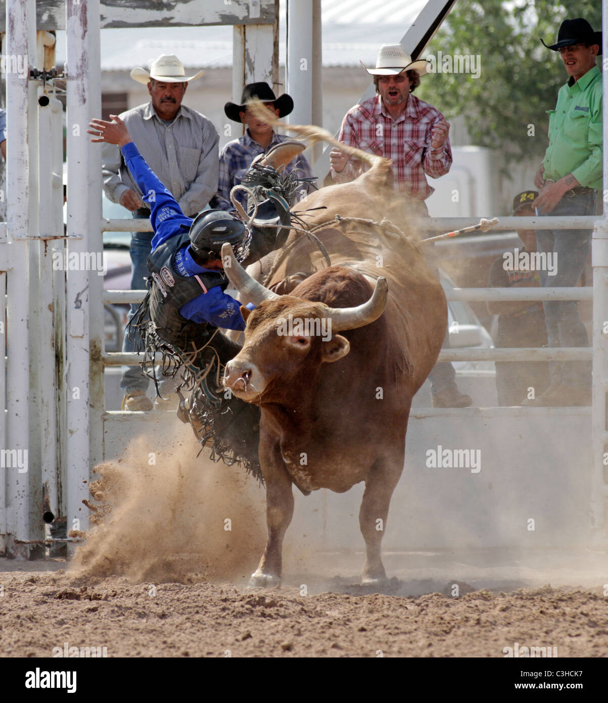 Bull riding competition at he Socorro, New Mexico, annual rodeo Stock ...
