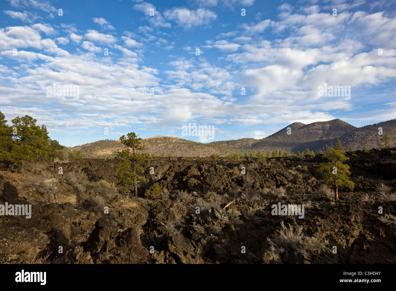 Bonito Lava Flow at sunrise, Sunset Crater Volcano National Monument ...