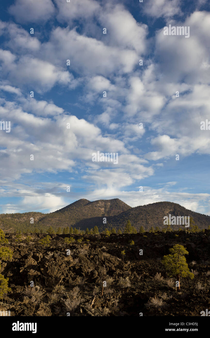 Bonito Lava Flow at sunrise, Sunset Crater Volcano National Monument ...