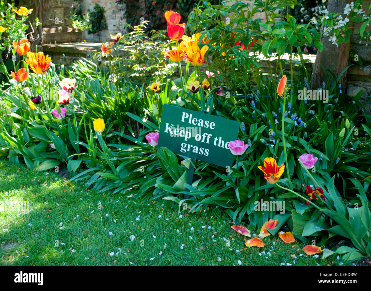 Keep off sign flowers hi-res stock photography and images - Alamy