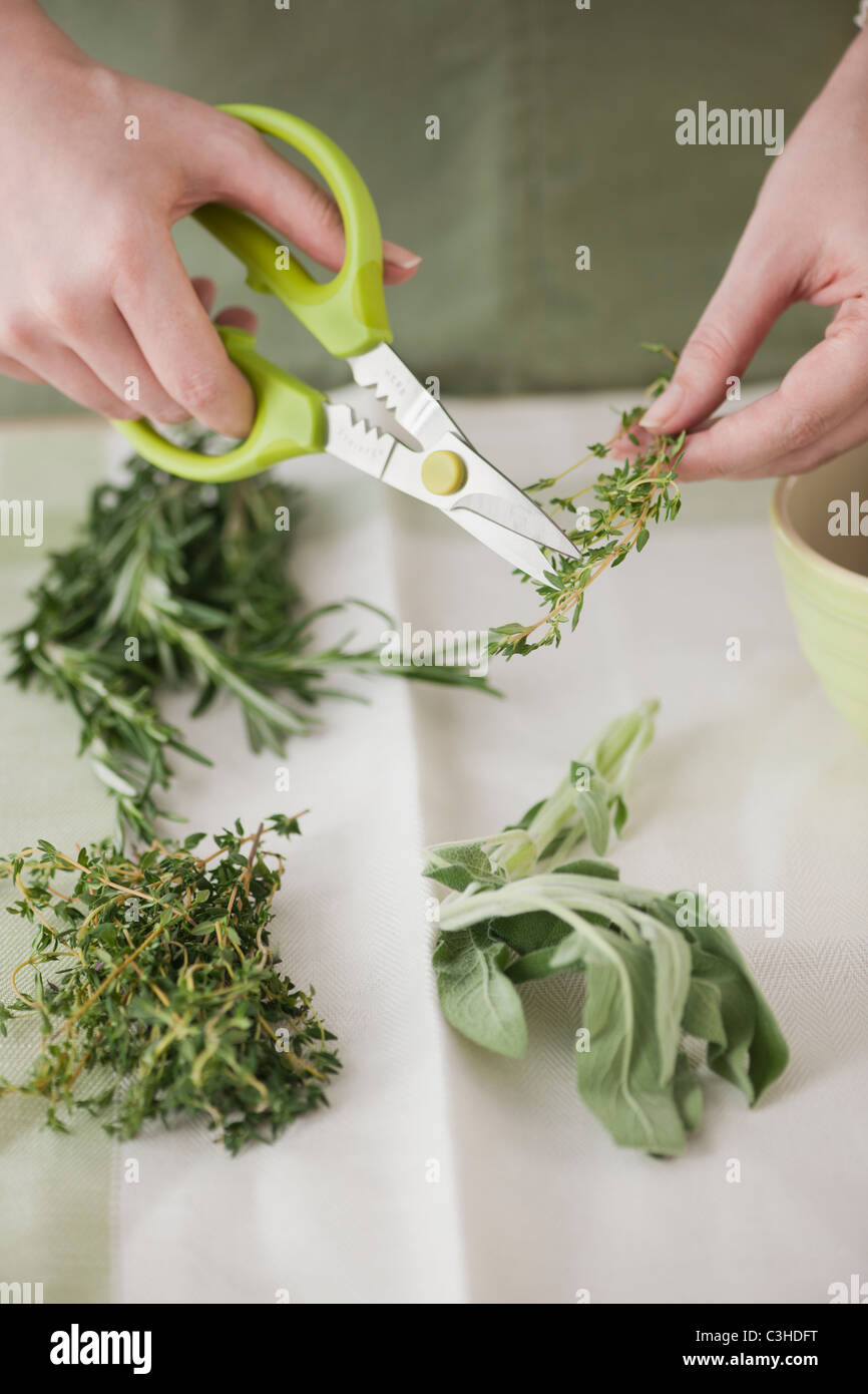 Woman cutting sprouts with scissors Stock Photo - Alamy