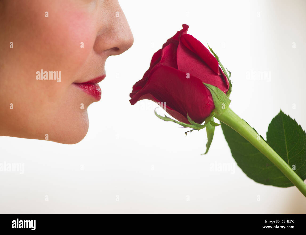 Studio shot of woman smelling red rose Stock Photo - Alamy