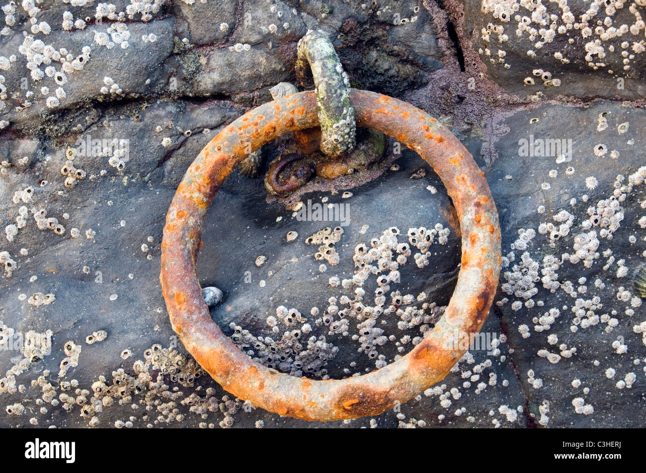 Rusty Metal Ring Stock Photo - Alamy