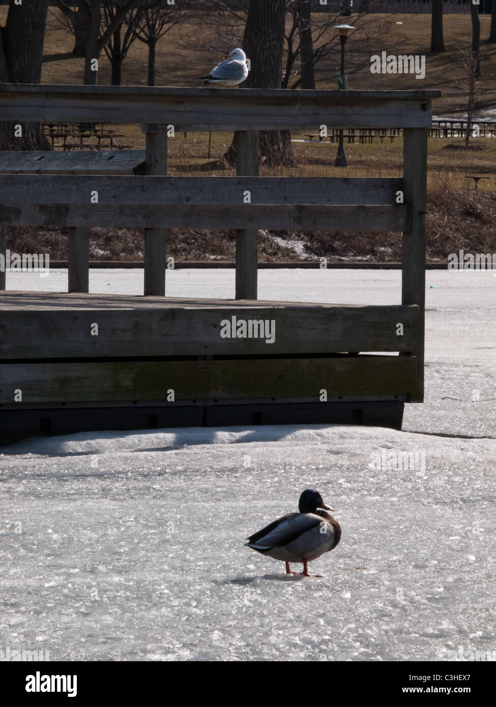 Powderhorn park minneapolis mn hi-res stock photography and images - Alamy