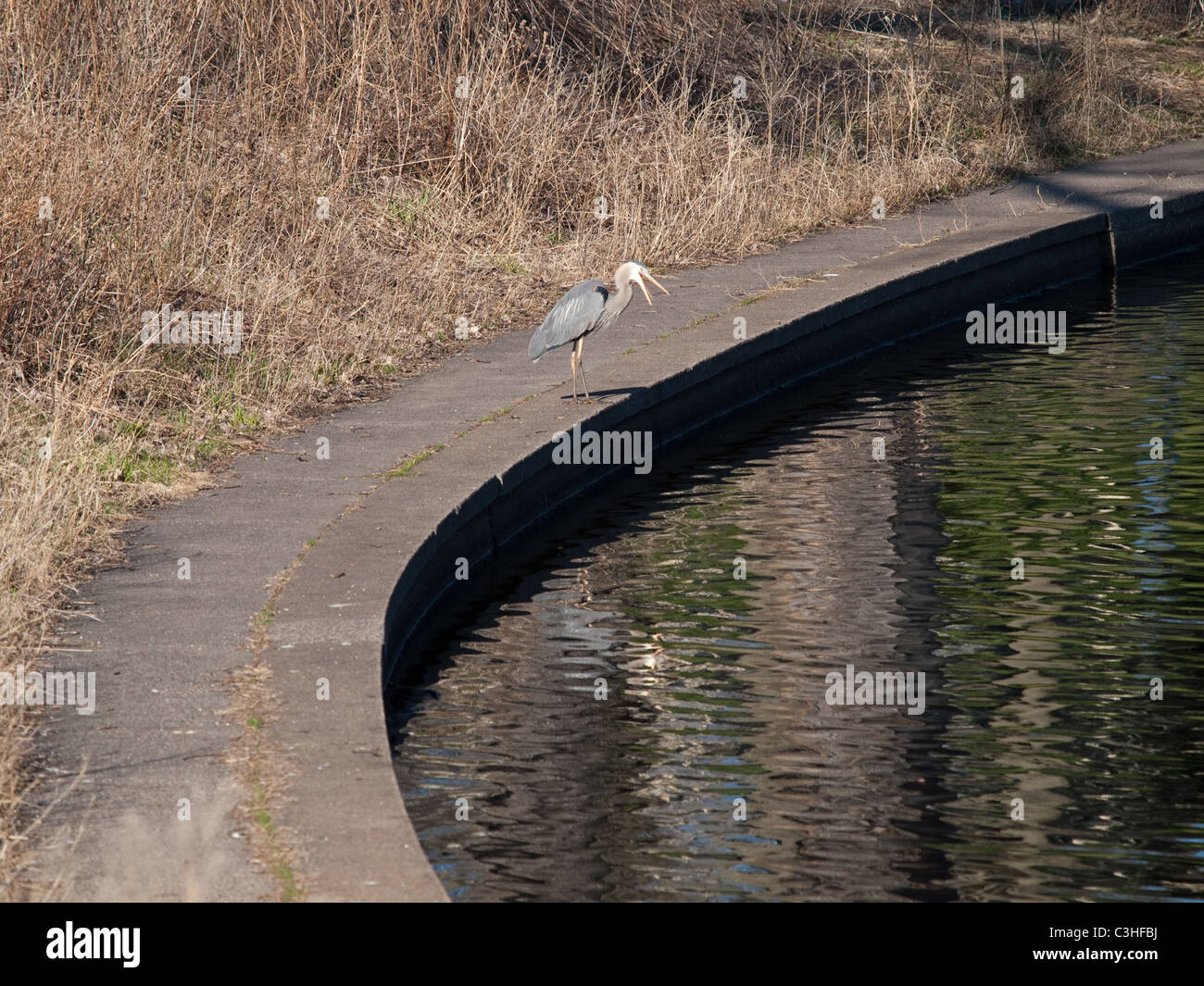 Powderhorn lake hi-res stock photography and images - Alamy