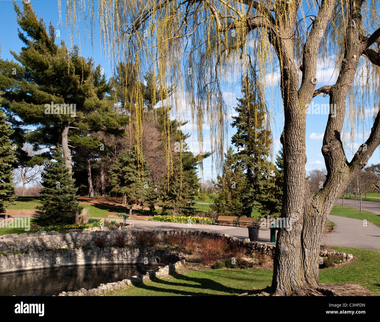 at the reflecting pool immediately east of the McNeely Conservatory in ...