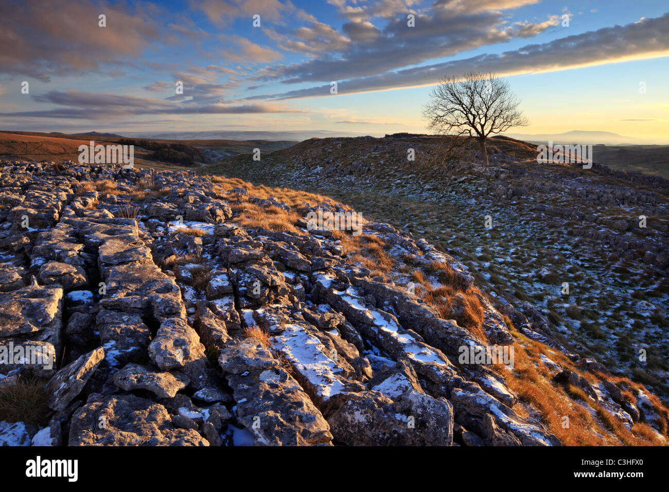 Lone tree malham yorkshire dales hi-res stock photography and images ...