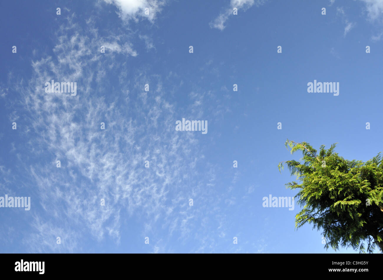 Sunny blue sky with clouds Stock Photo - Alamy