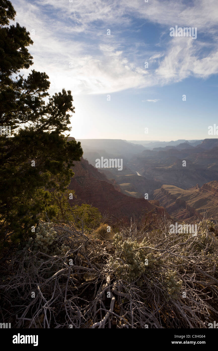 View from Lipon Point along the South Rim of the Grand Canyon National ...