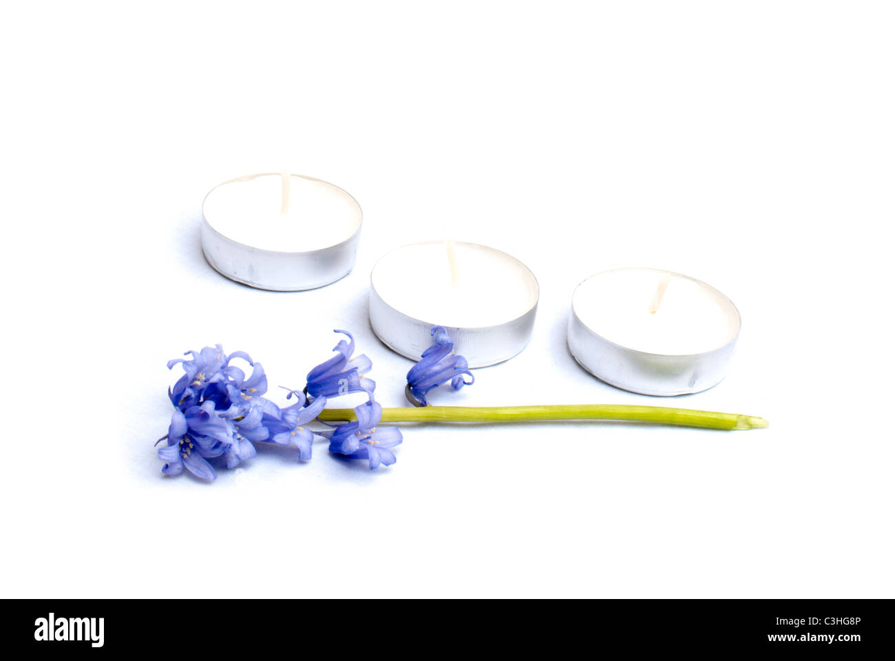 Holly body Cut Out Stock Images & Pictures - Alamy