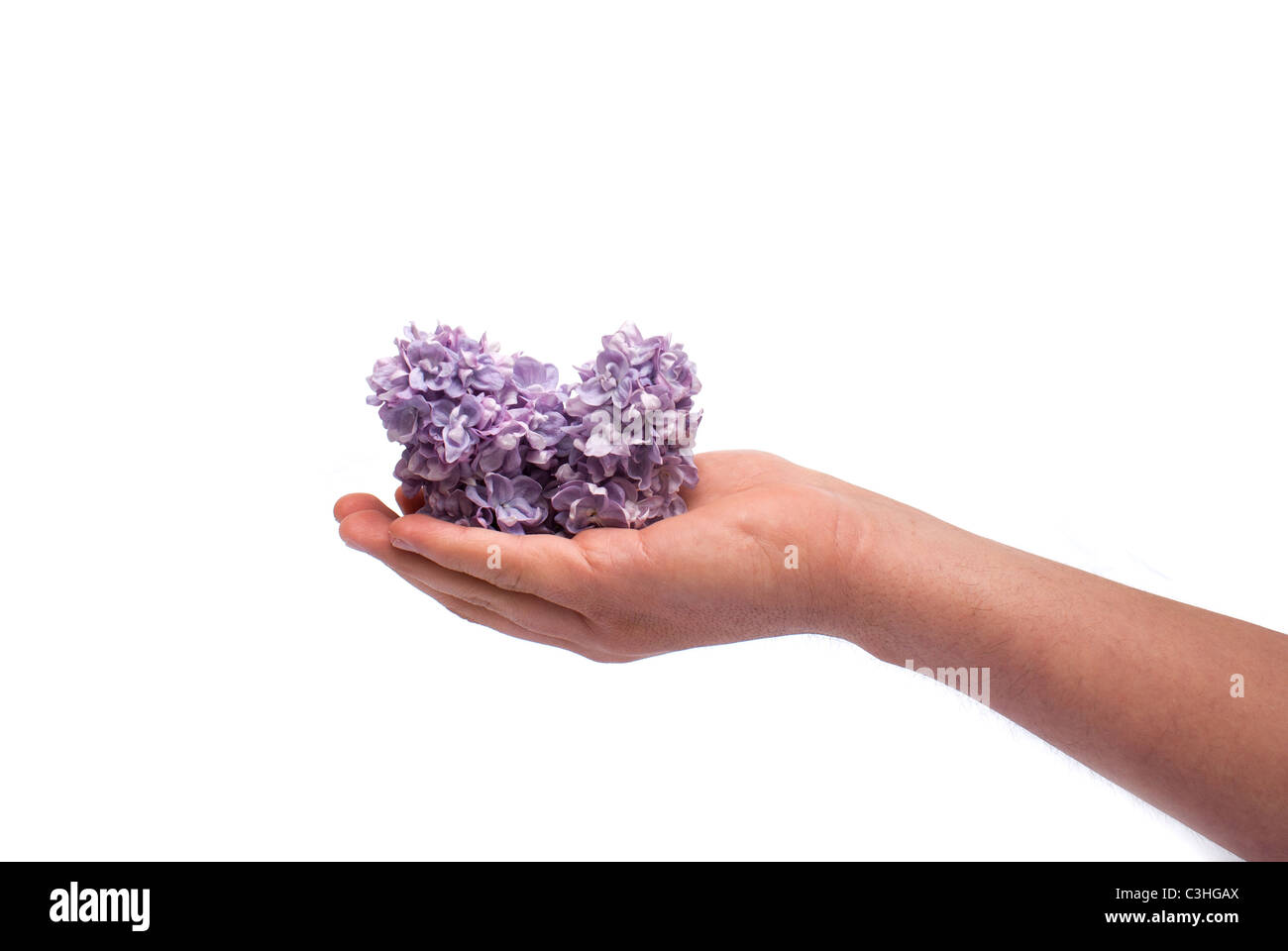 Hand Giving Flowers High Resolution Stock Photography and Images - Alamy