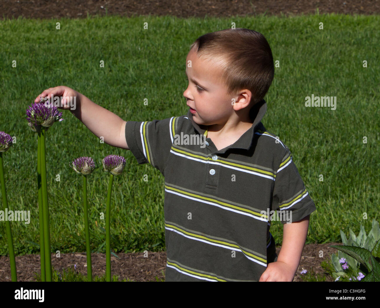 A young boy with flowers in the garden Stock Photo - Alamy