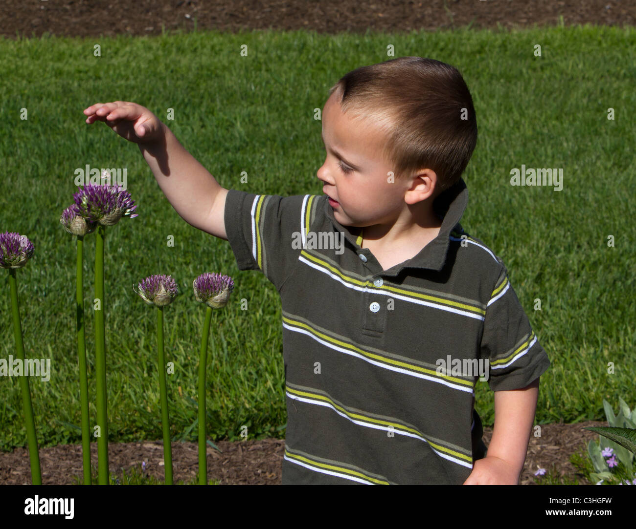 A young boy with flowers in the garden Stock Photo - Alamy
