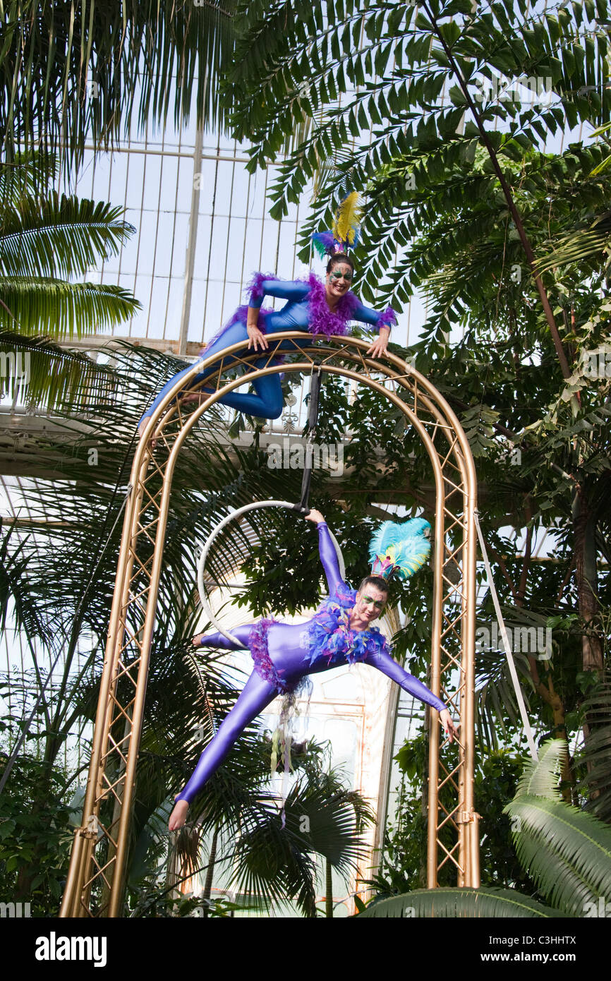 Aerial acrobatics in Kew Garden's Palm House, London Stock Photo - Alamy