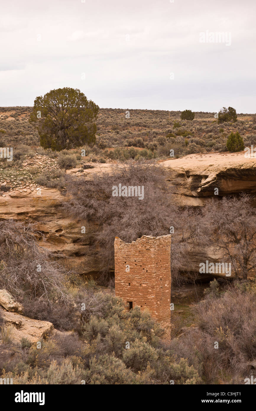 Square Tower in Little Ruin Canyon at Hovenweep National Monument in ...
